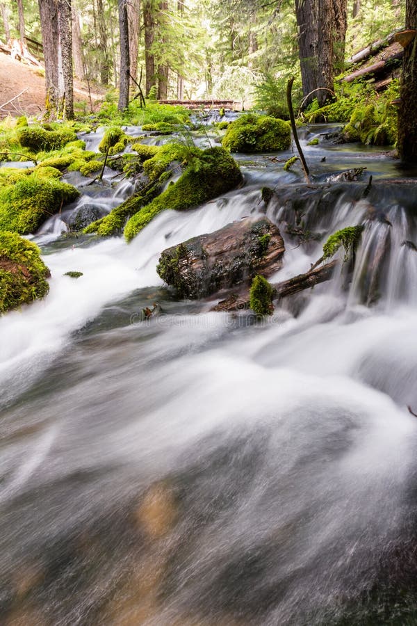 Natural spring water stock image. Image of nature, pristine - 63285045