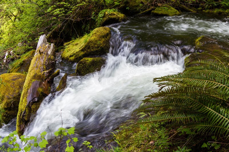 Natural spring water stock image. Image of color, clean - 63285451