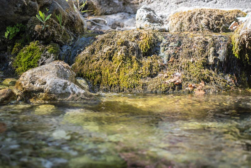 Natural spring water flow stock image. Image of groundwater - 155042933