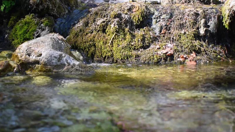 Natural spring water flow stock footage. Video of closeup - 159514758