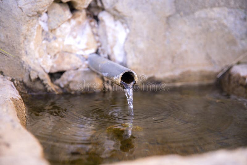 Natural Spring Water Flowing from the Pipe and the Water Trough Stock ...