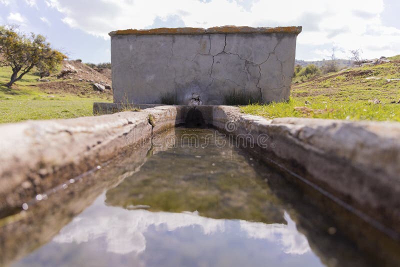 Natural Spring Water Flowing from the Pipe and the Water Trough Stock ...