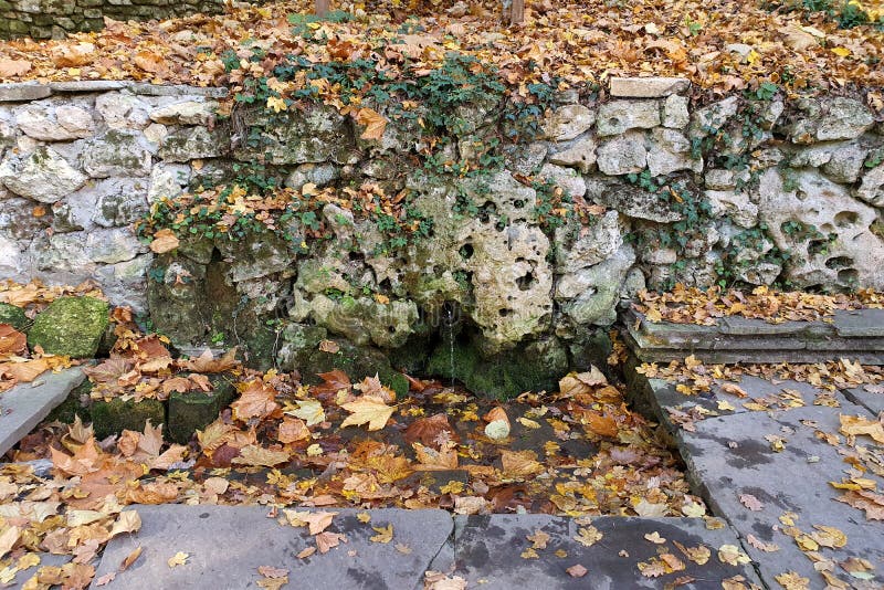 Natural Spring Water. Moss and Leaves, Water Flowing Over Rocks Stock ...