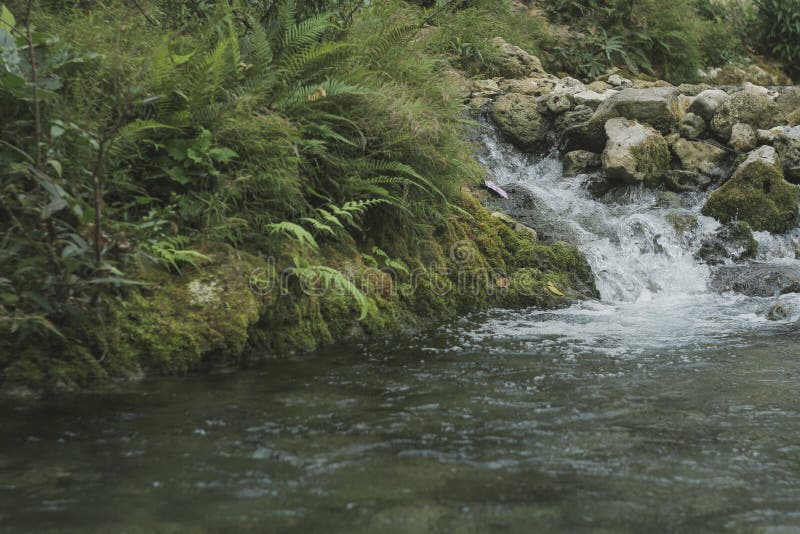 Natural Spring Water from the Mountains Stock Image - Image of ...