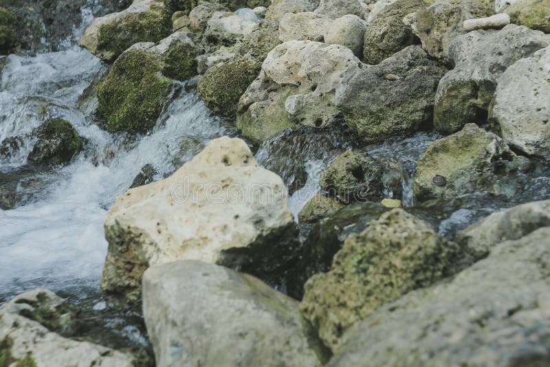 Natural Spring Water from the Mountains Stock Photo - Image of moss ...