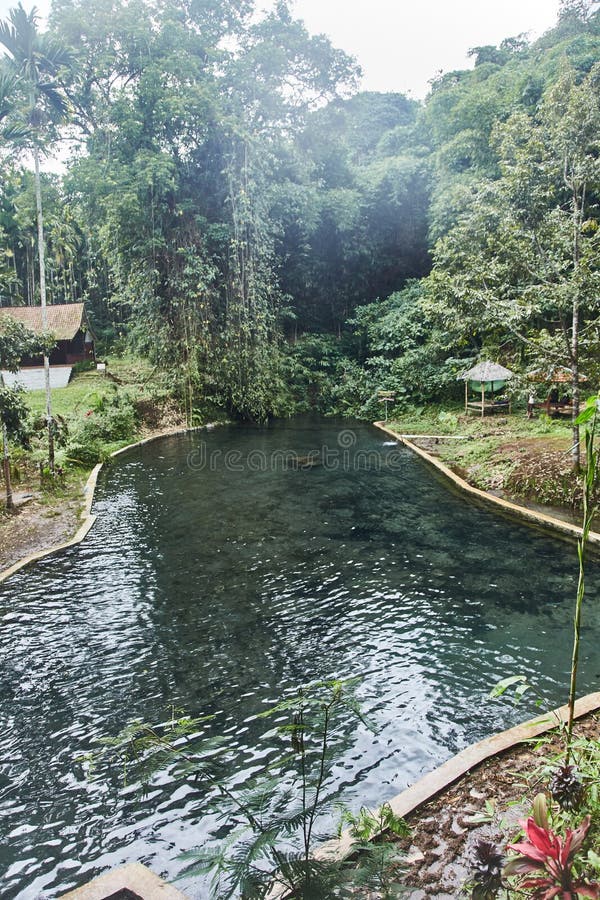 Natural spring water pool. stock photo. Image of cascade - 144024112