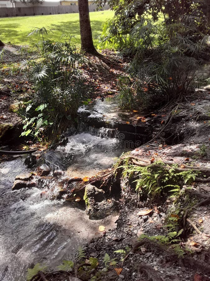 NATURAL SPRING Water stock photo. Image of outdoors - 159487094