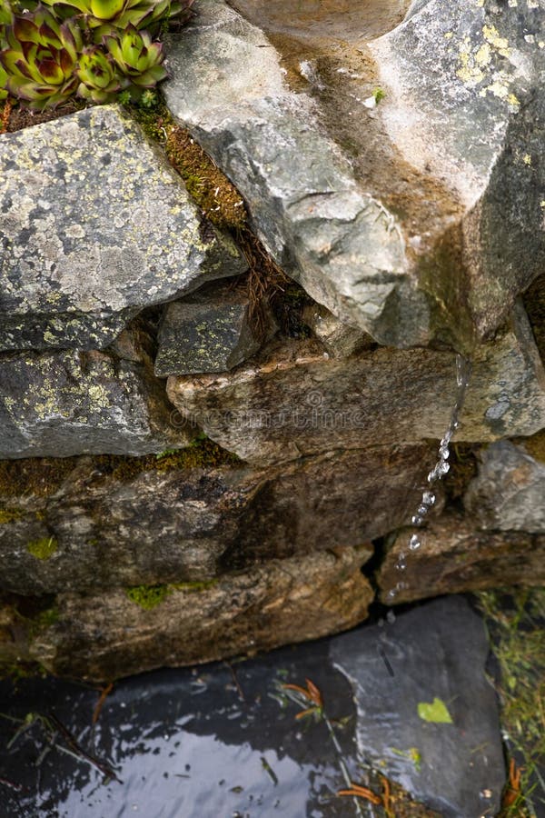 Natural Spring Water Source among Stones Stock Photo - Image of chill ...