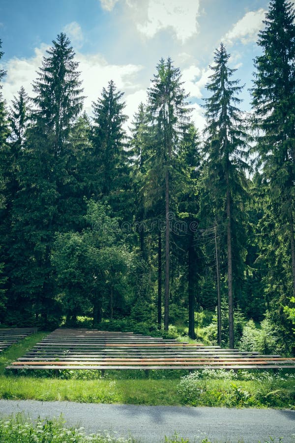 Natural stage in forest stock photo. Image of summer - 73180138