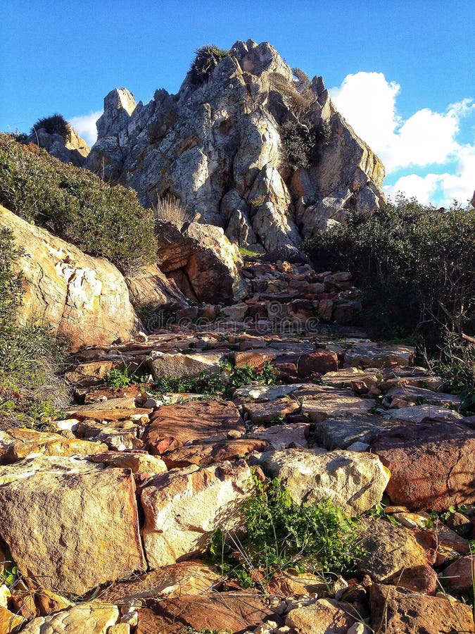 Natural Steps and a Railing with Fall Leaves All Around Stock Image ...