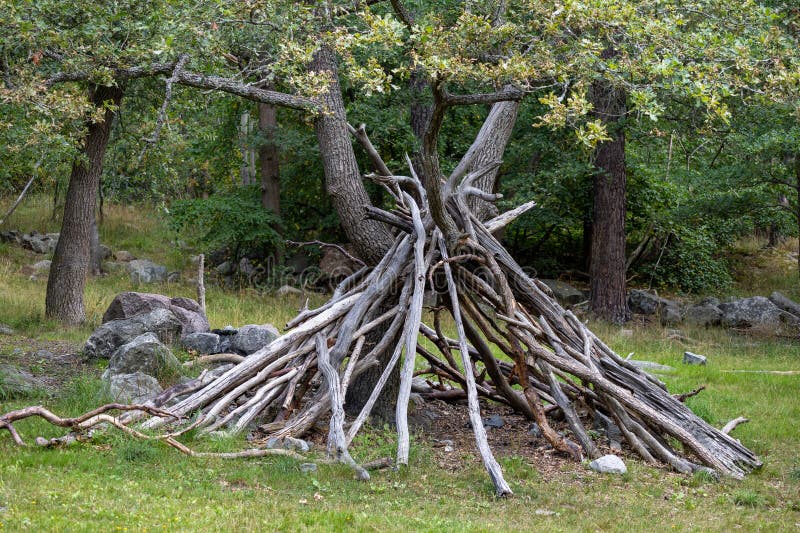 Natural Stick Structure in Forest Stock Photo - Image of grassy, stick ...