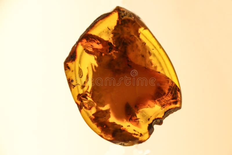 Natural Stone of Amber. Amber Stones Close-up.. Stock Photo - Image of ...