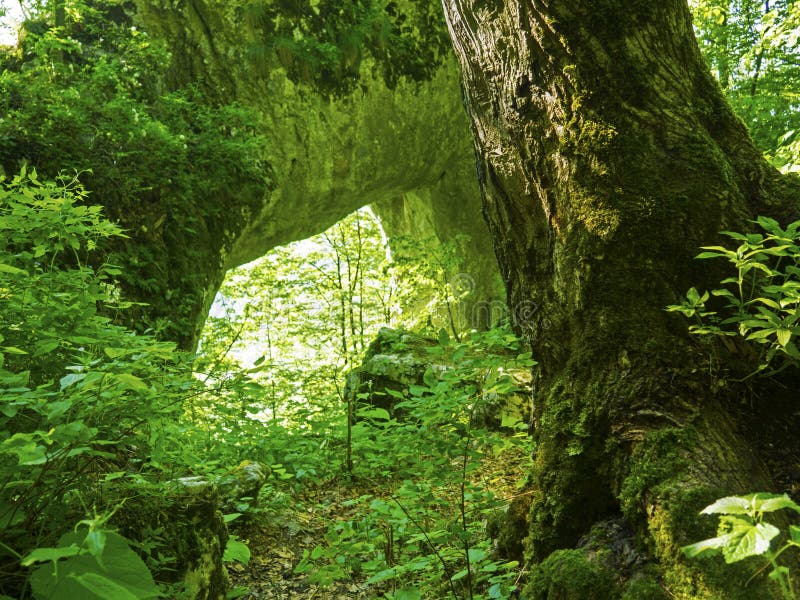 Natural stone gate stock photo. Image of wiccan, gate - 59088210