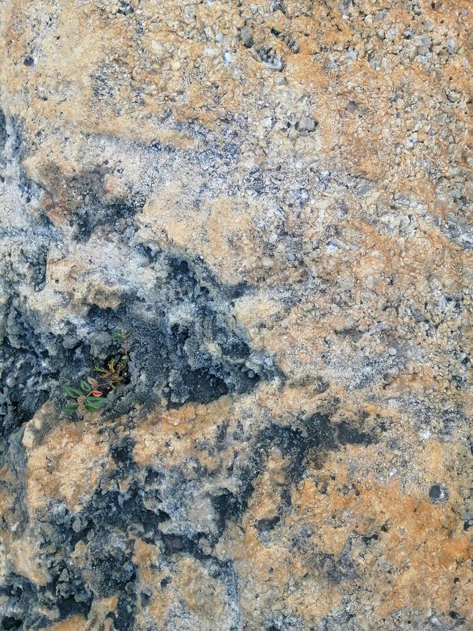 Natural Stone Granite Texture, Granite Pattern. Mountain Speckled ...