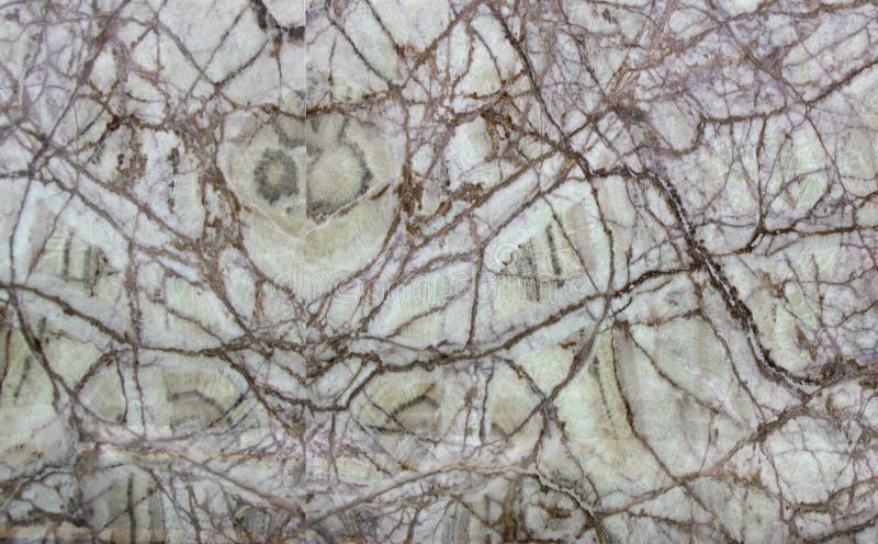 Spider Jade (Fine Flower) Stone Plate Marble Background Grain Stock ...