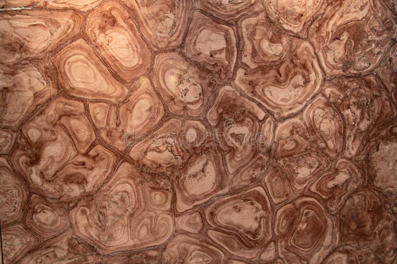 Indian Wood Grain Stone Plate Marble Background Grain Stock Photo ...