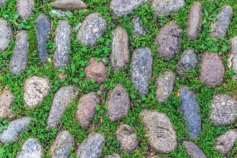 Natural Stone Pathway Texture with Irregularly Shaped Cobblestones ...