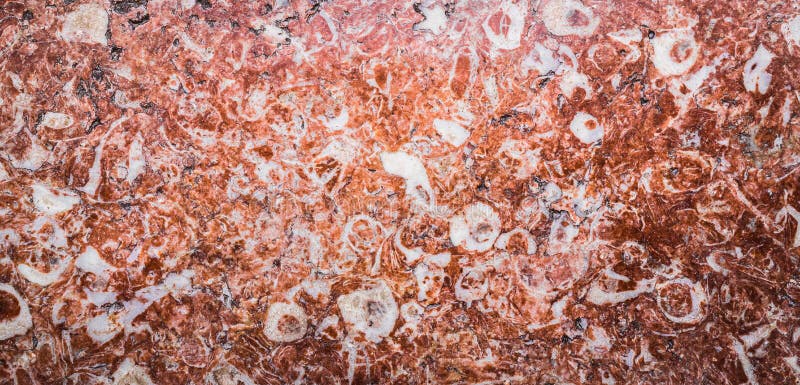 Natural Stone Slab Background Stock Image - Image of counter, marble ...