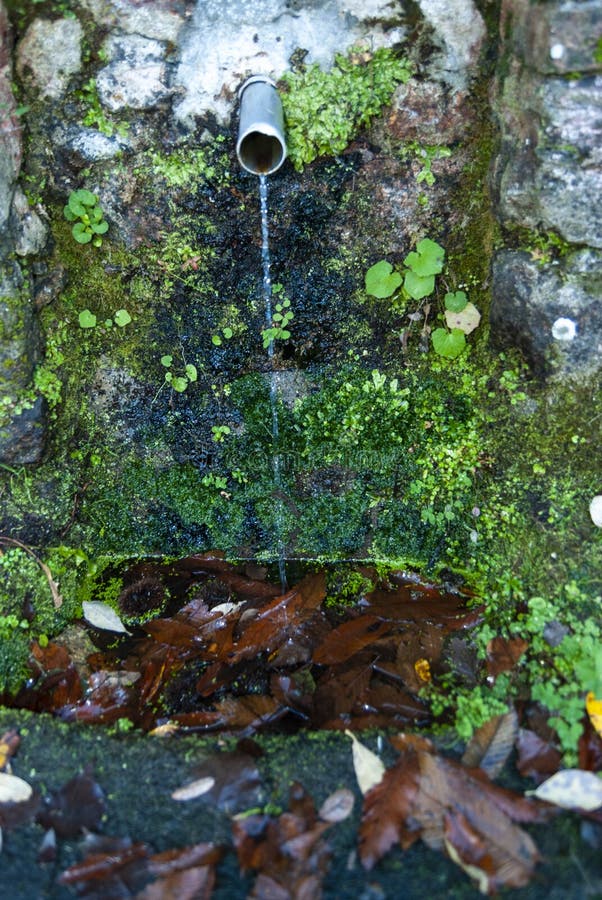 Stone Rim of a Hot Spring with Autumn Leaves Stock Photo - Image of ...