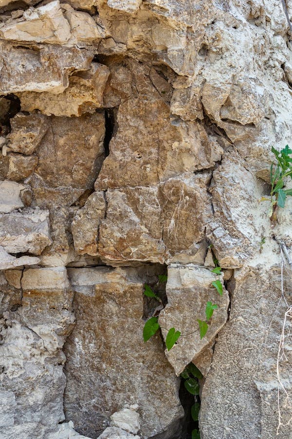 Natural Stone Texture Background. Limestone Stock Photo - Image of ...