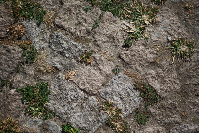 Natural Stone Texture with Moss and Shadow Pattern. Stock Photo - Image ...