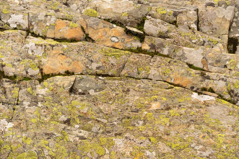 Natural Stone Texture. Rustic Marble Texture, Natural Texture ...