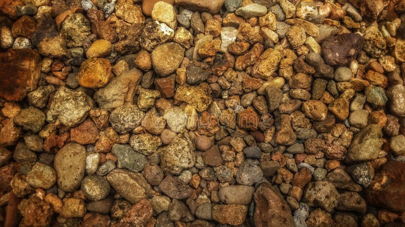 Unique Shape and Designed High Quality Table Image, Table on the Floor ...