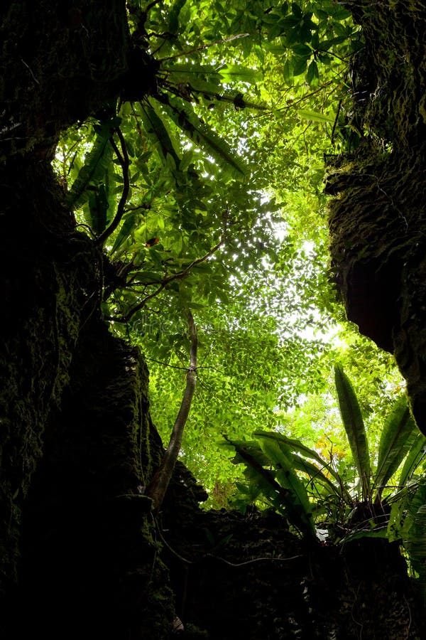 Natural stone wall stock photo. Image of asia, borneo - 107479542