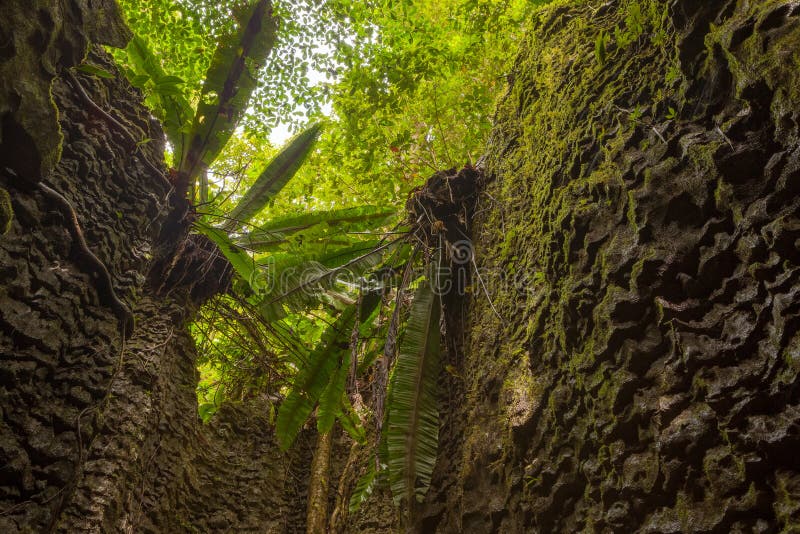 Natural stone wall stock image. Image of borneo, asia - 107480929