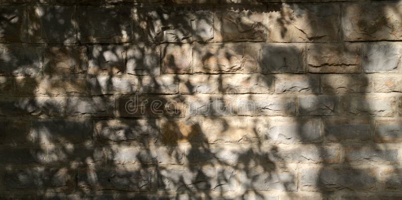 Natural Stone Wall with Shadows of Tree Branches on Sunny Day Stock ...