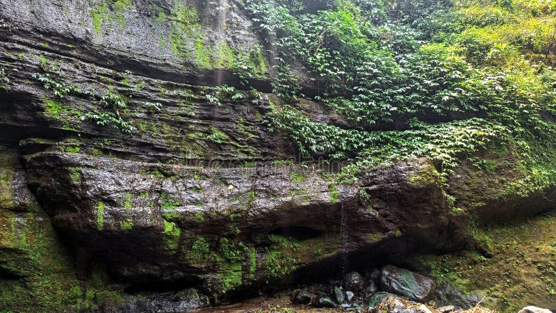 Natural Stones with Moss on the River Bank Stock Image - Image of cliff ...