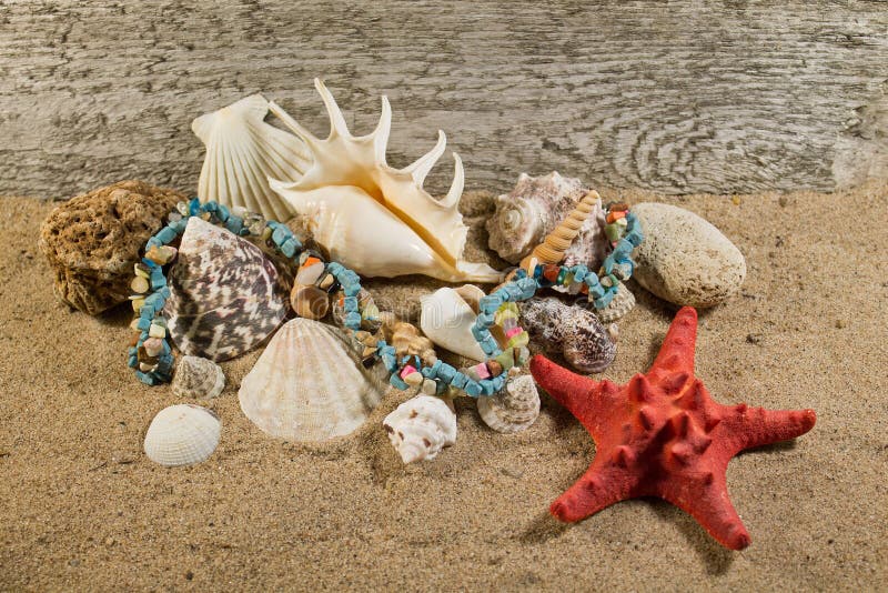 Natural Stones Necklace and Sea Objects Composition. Stock Image ...