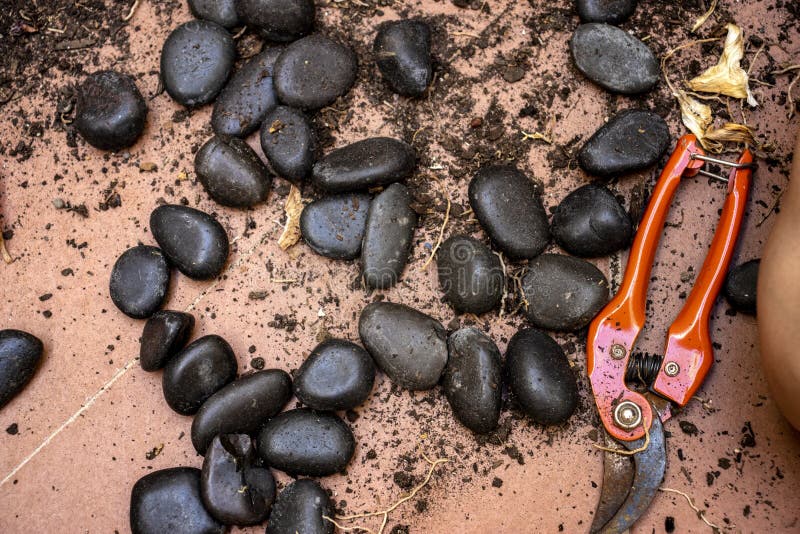 Natural Stones for Plants. Gardening Tools and Soil for Plantations ...