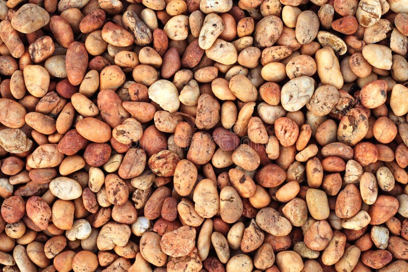 Small brown nature stone stock image. Image of shingle - 17038065