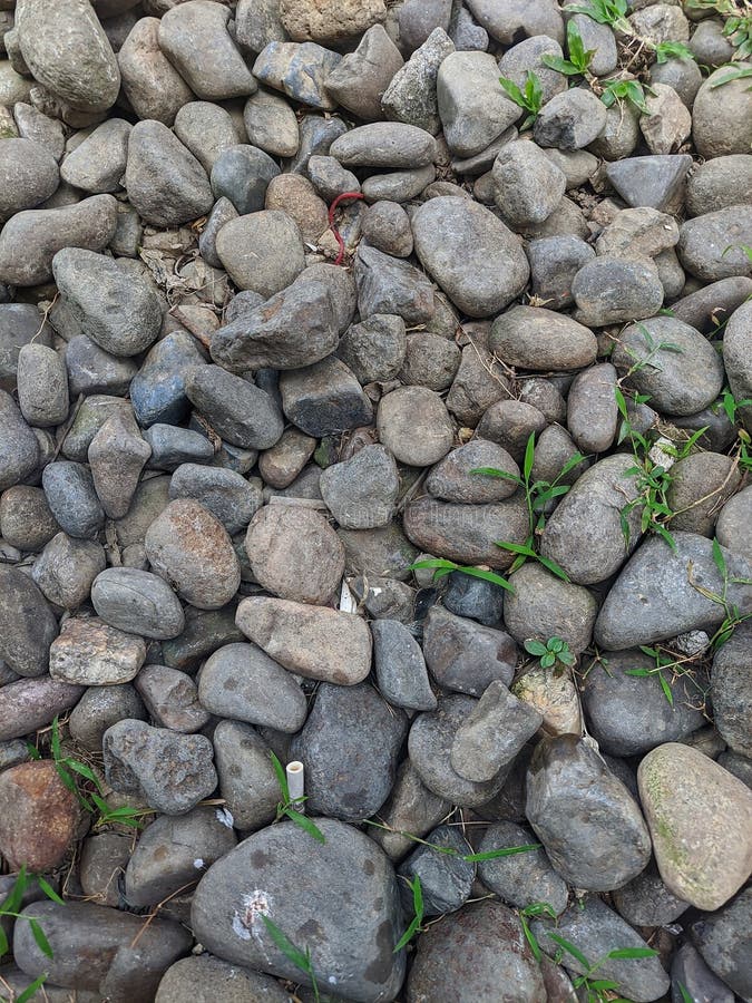 Natural Stones of Various Sizes and Shapes are Scattered on the Ground ...