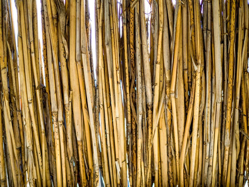 Natural Straw Closeup Texture Background Stock Image - Image of cane ...