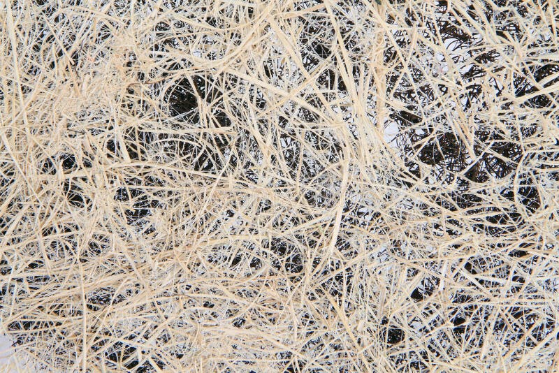 Natural straw texture stock photo. Image of grass, harvest - 77338138