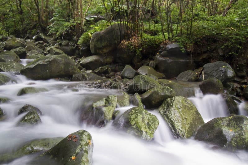 Natural stream stock photo. Image of cascade, forest - 28038308