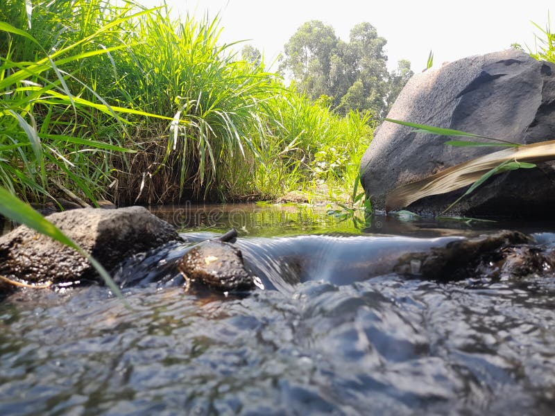 Natural stream flow stock photo. Image of flow, nature - 258704816