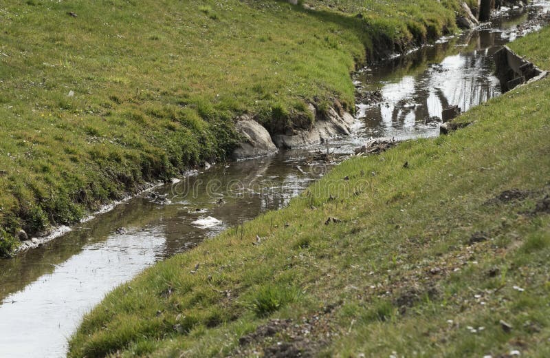Stream of a Meandering Brook or Creek Stock Photo - Image of flow ... Stream of a Meandering Brook or Creek Stock Photo - Image of flow ...