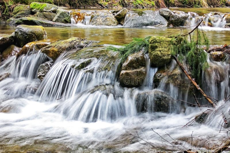 Natural stream stock photo. Image of small, green, natural - 51552324