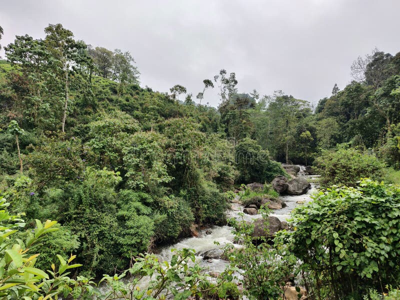 Natural stream stock image. Image of stream, natural - 134480211