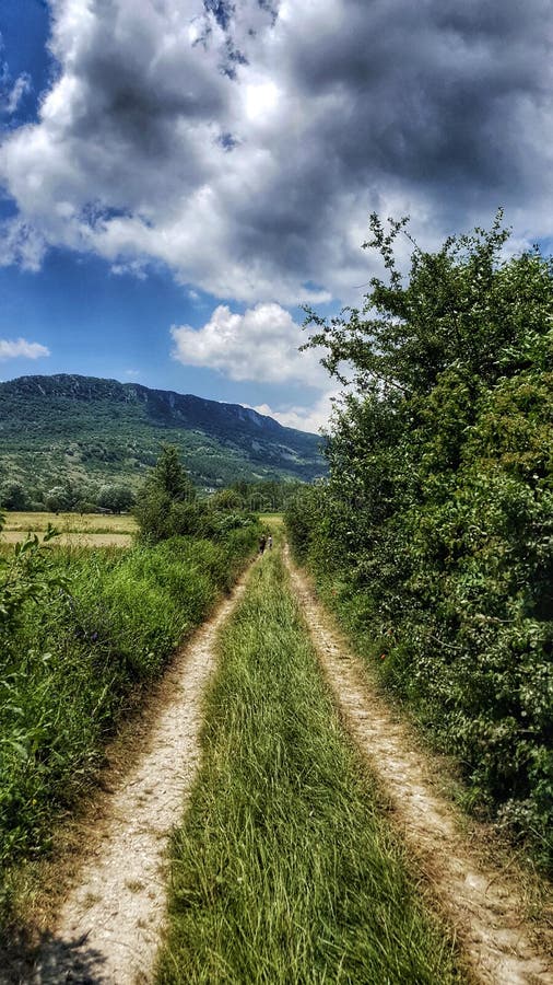 Natural street stock image. Image of street, prospective - 127401337