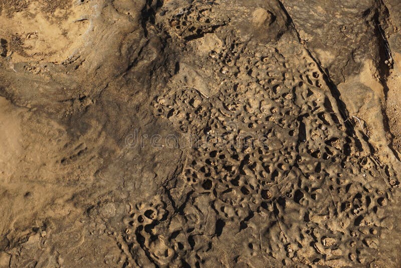 Ocean Stone Texture Natural Stock Photo - Image of floor, gray: 231076660