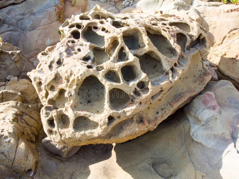 Red Rock Structure and Cactus in Valley of Fire, Nevada, USA Stock ...