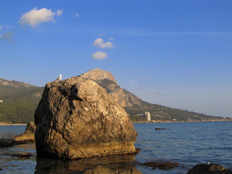 Natural Summer Landscape, Rock in Sea with Seagull Stock Image - Image ...