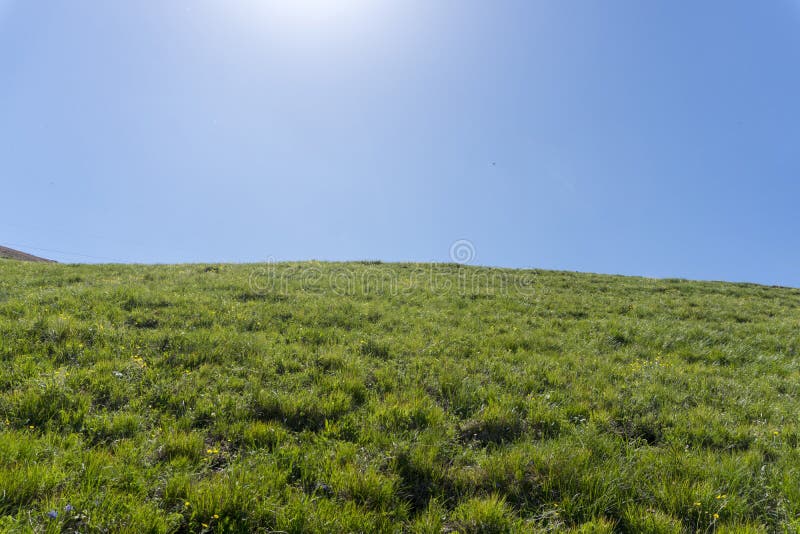 Natural Sunlight, Meadow and Sky Background Image. Stock Image - Image ...