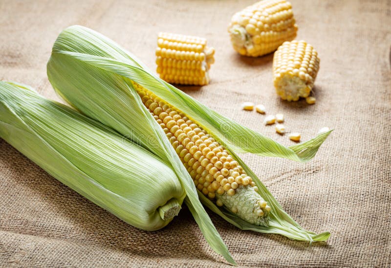 Natural Yellow Sweetcorn Pieces and Cloves Flying on Air.Background for ...