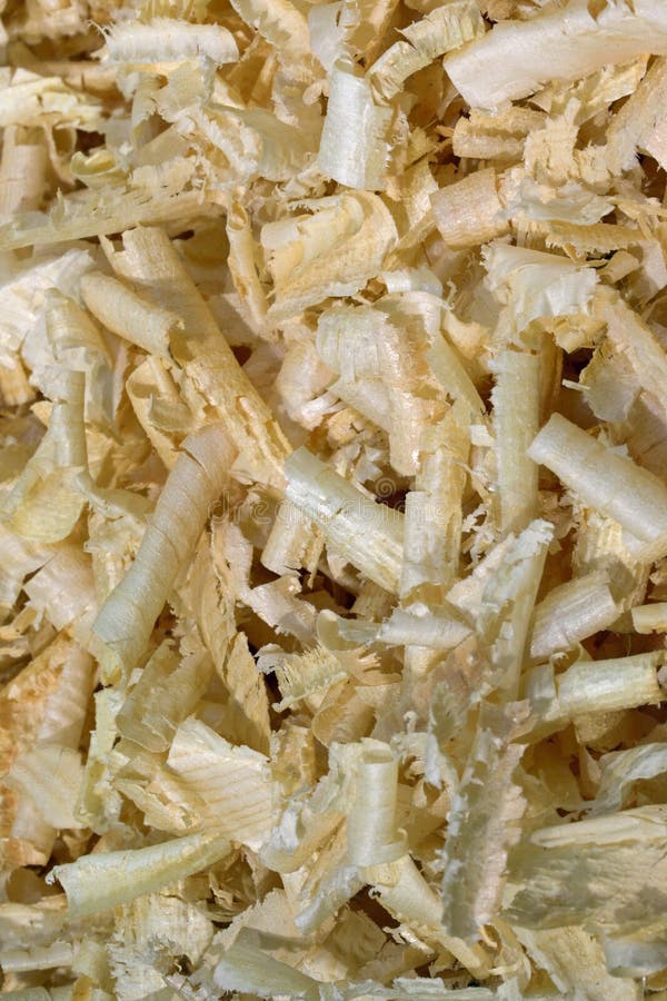 Natural Swiss Pine Chippings Also Called Pinus Cembra Stock Image ...