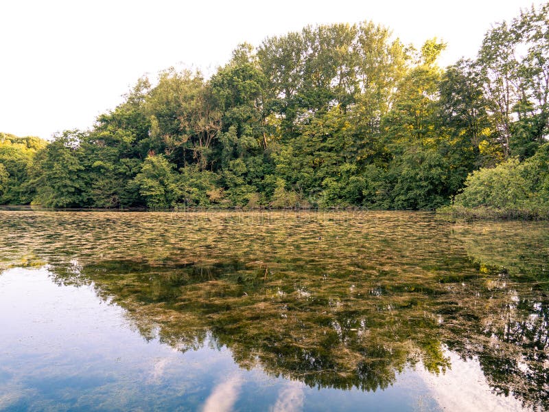 Natural Symmetrical Reflection on Water Stock Photo - Image of forest ...